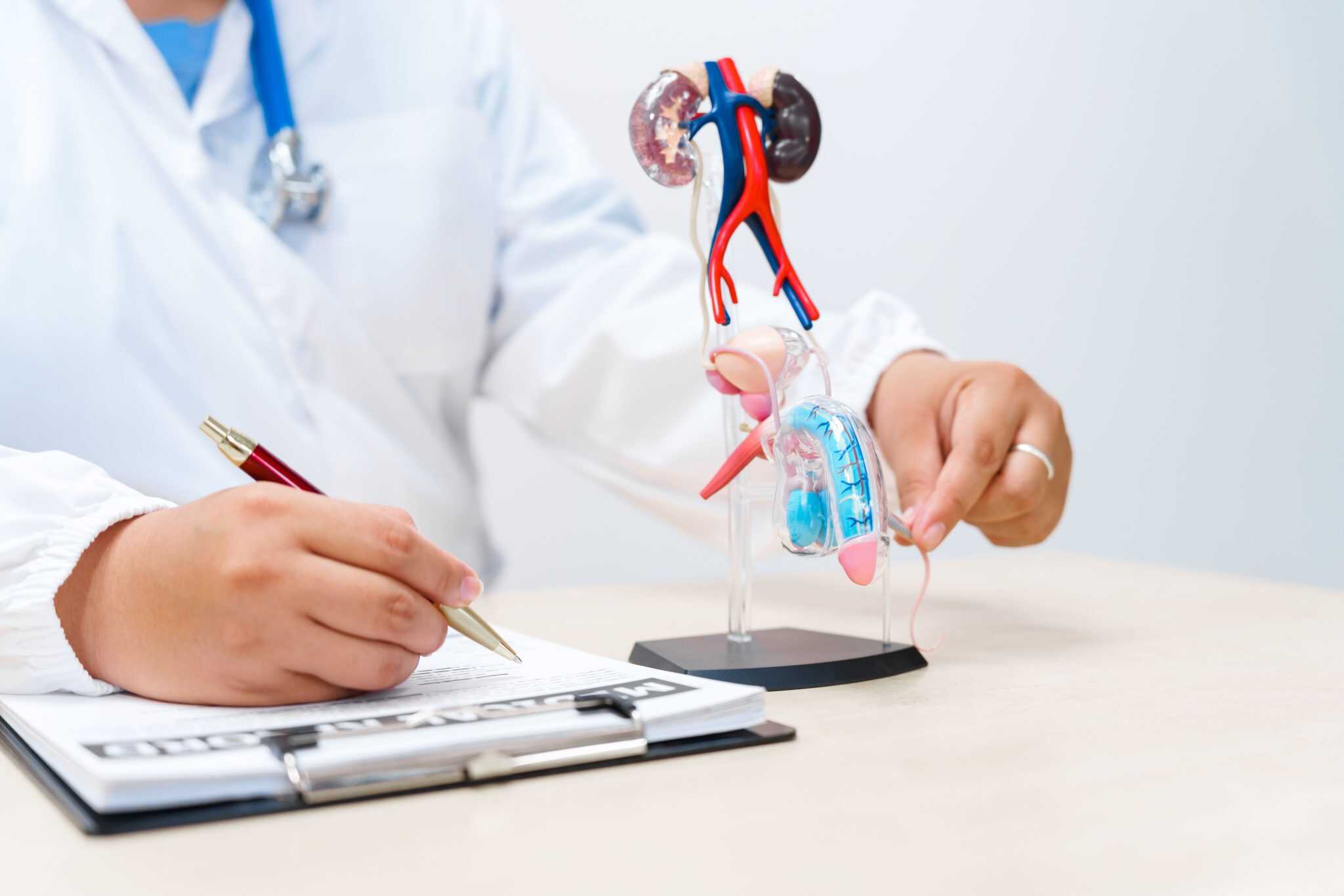 Prostate Cancer Awareness Month: Your Top Questions Answered - November ...